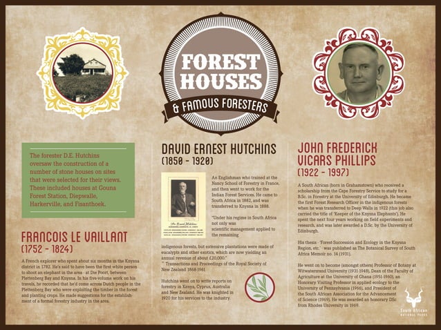 4 Rooted in Time: Diepwalle Forest Station: houses & famous foresters ...