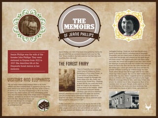 4 Rooted in Time: Diepwalle Forest Station: houses & famous foresters | PPT