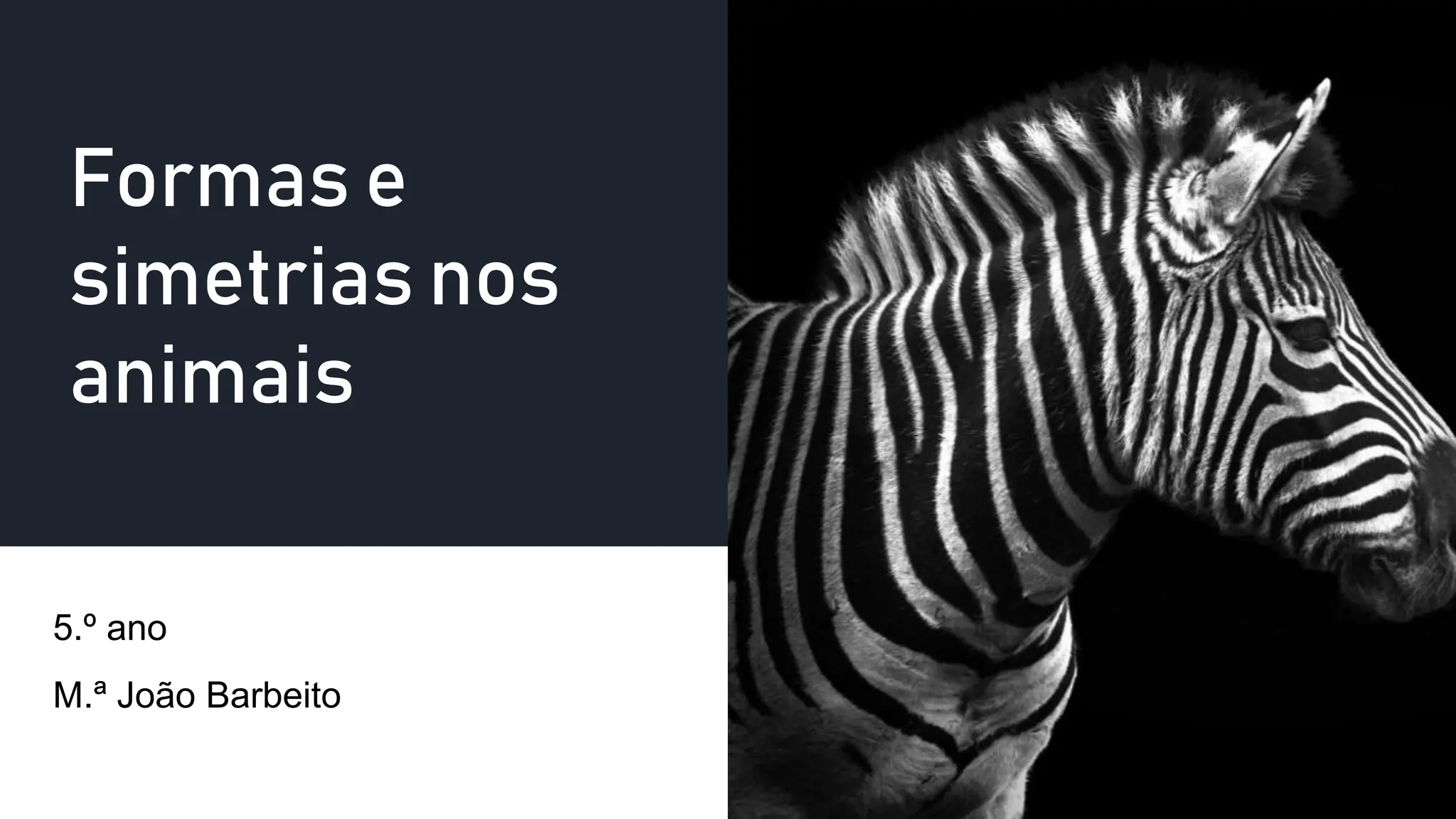 4 FormasSimetriaRevestimento | PPTX