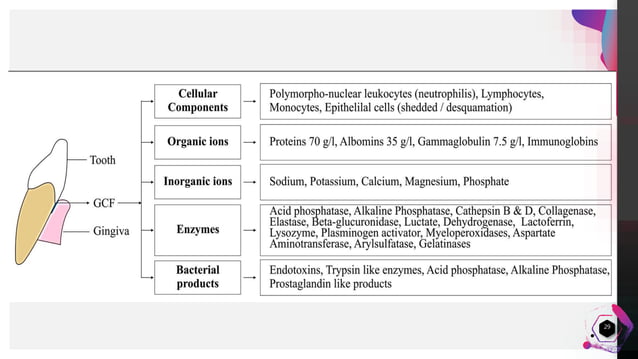GINGIVAL CREVICULAR FLUID | PPTX | Biological Sciences | Science