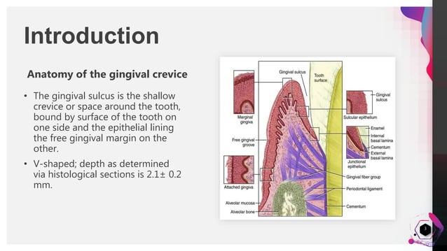 GINGIVAL CREVICULAR FLUID | PPTX | Biological Sciences | Science