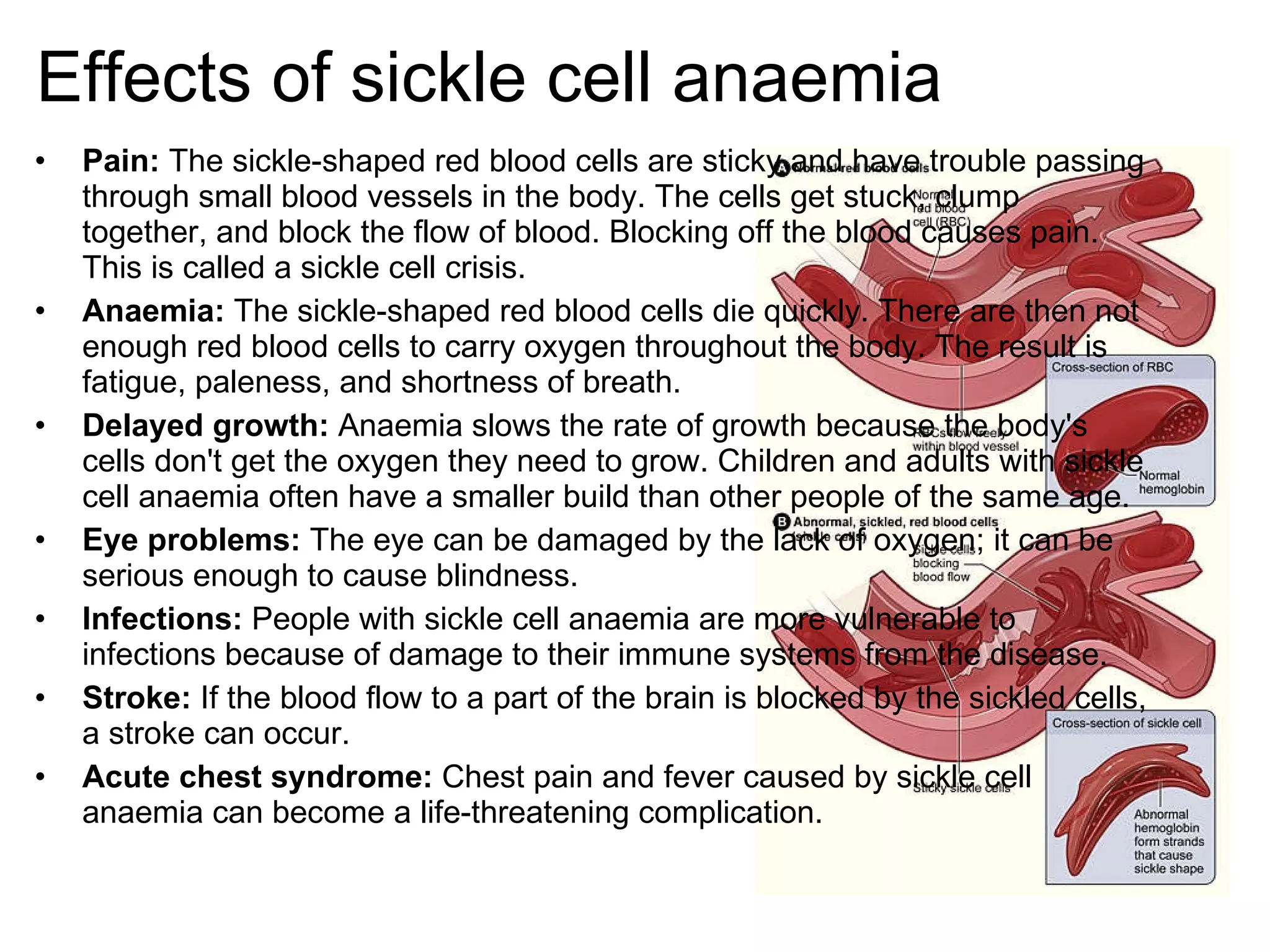 Chapter 19 Heredity Lesson 4 - Examples of Gene and Chromosome ...