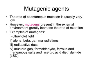 Chapter 19 Heredity Lesson 4 - Examples of Gene and Chromosome ...