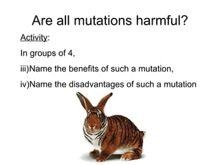 Chapter 19 Heredity Lesson 4 - Gene chromosome mutations_natural ...