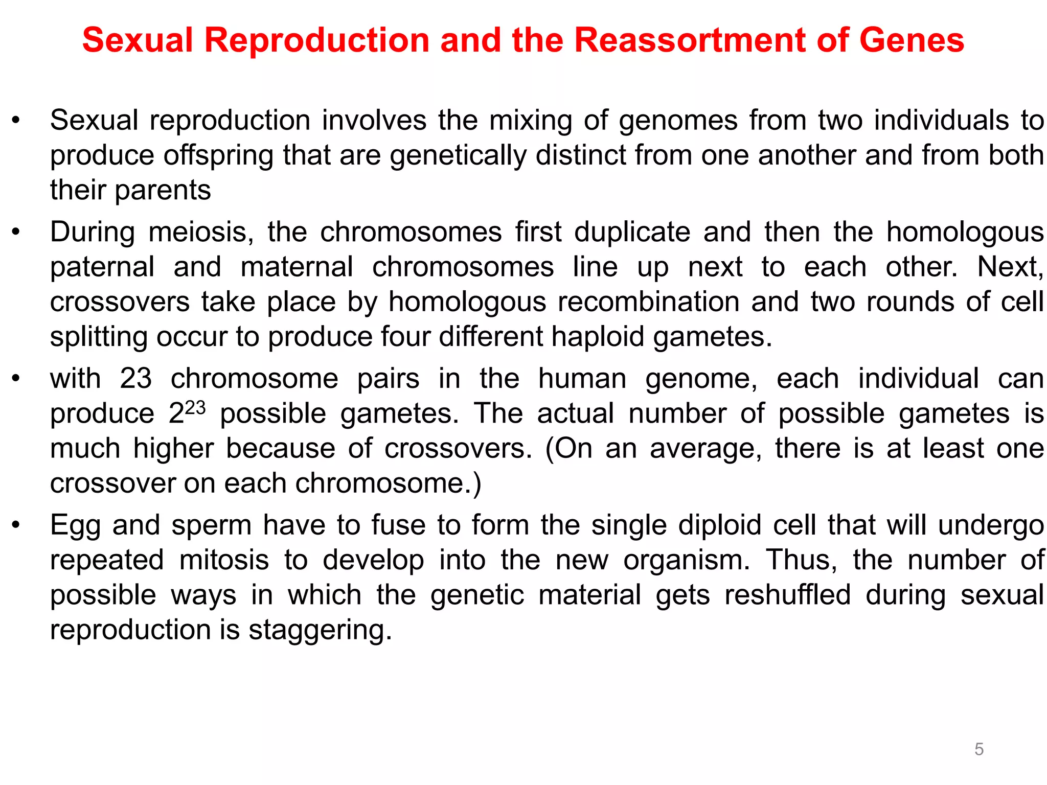 genetic variation | PPT