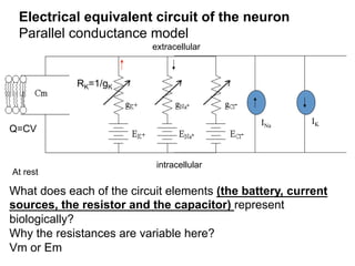 4 ghe membrane_electricalmodel (3) | PDF