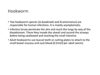 4 gi infections | PPT