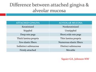gingiva | PPTX