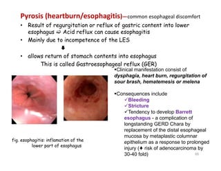 4 git physiology aau-mf-2015 | PDF