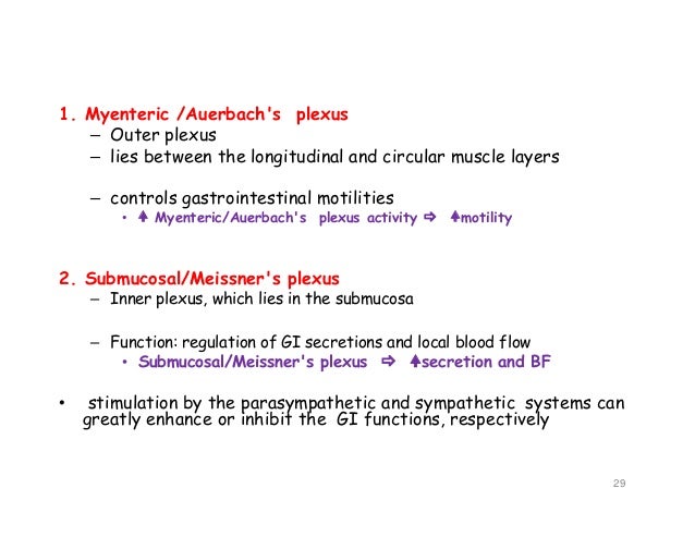 4 git physiology aau-mf-2015