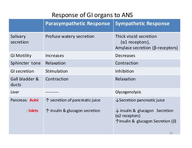 4 git physiology aau-mf-2015