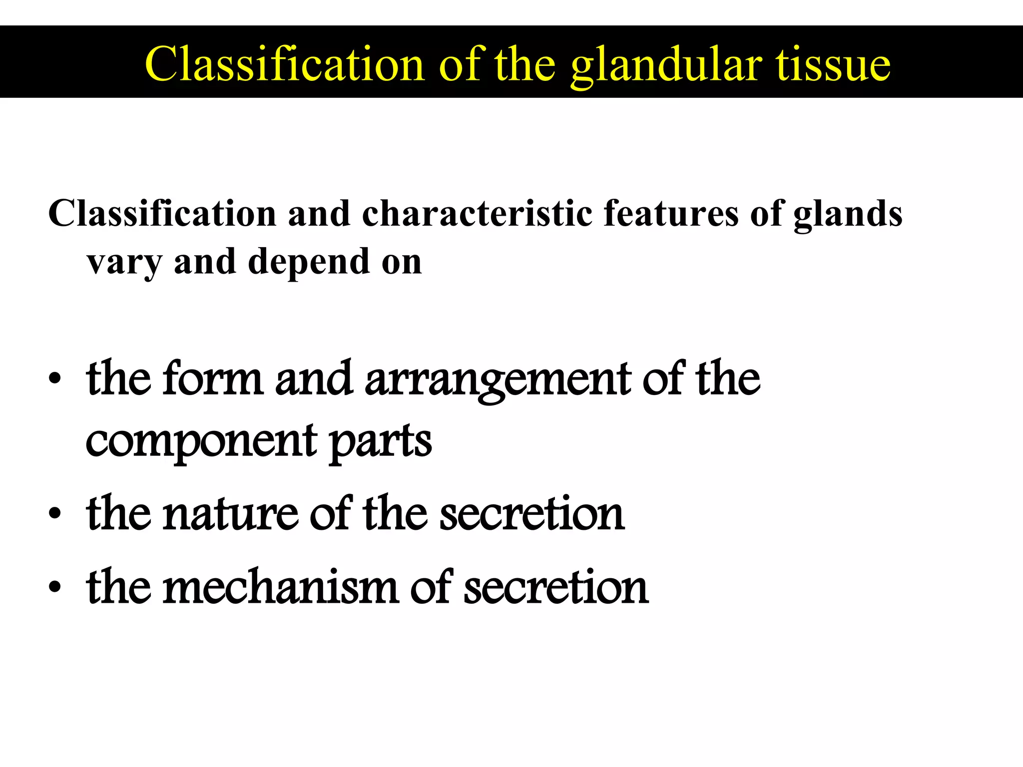 Glandular Tissue.pdf
