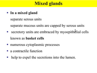 Glandular Tissue.pdf