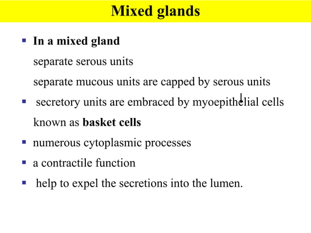 Glandular Tissue.pdf