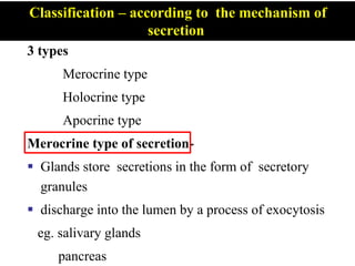 Glandular Tissue.pdf
