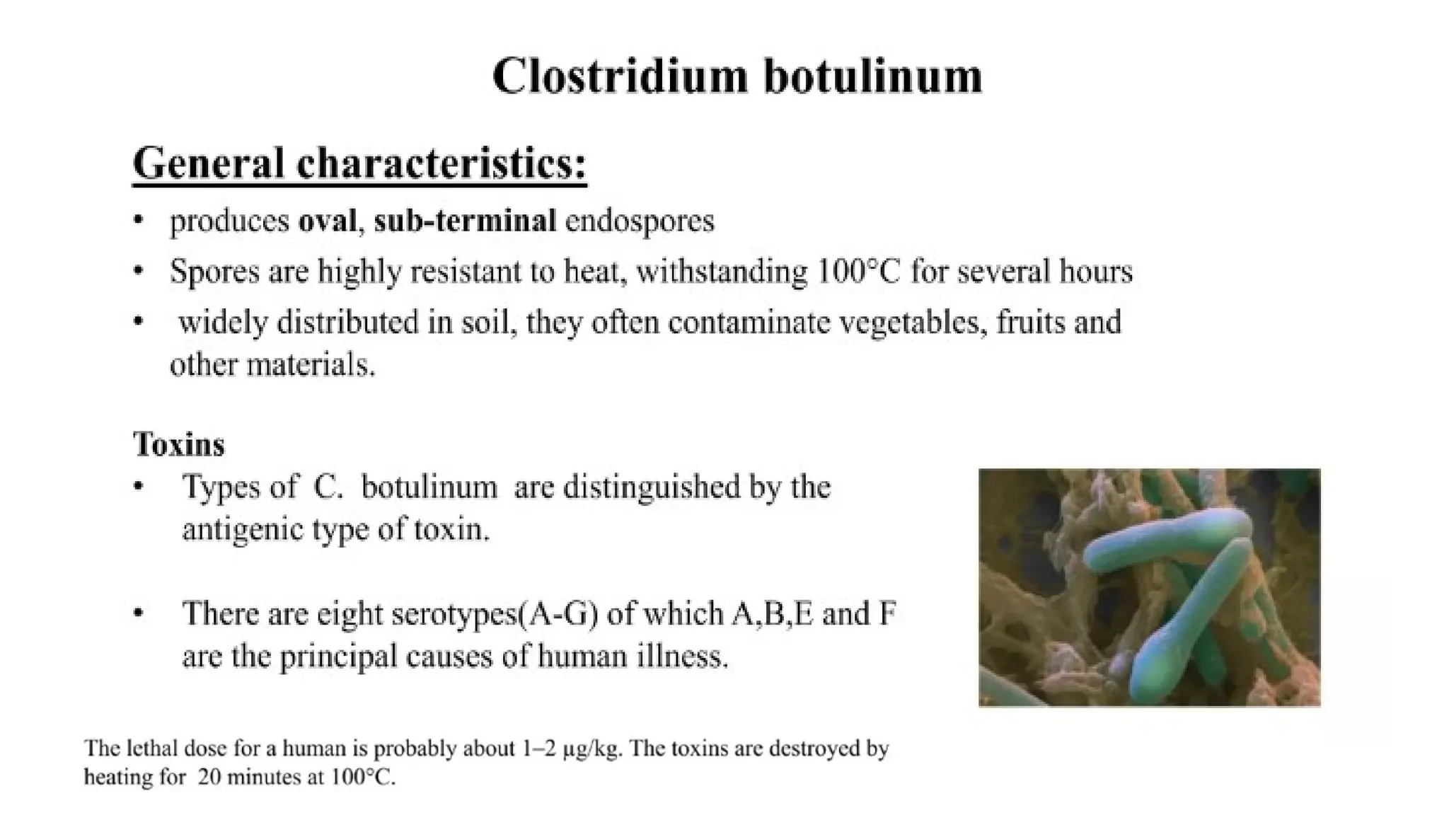 DPT - Microbiology II (Gram +ve Spore forming rods) | PPT