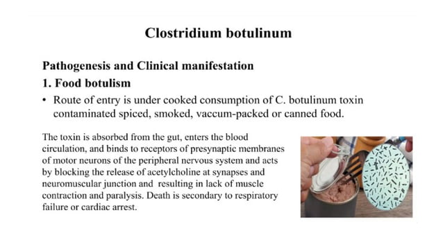 DPT - Microbiology II (Gram +ve Spore forming rods) | PPT