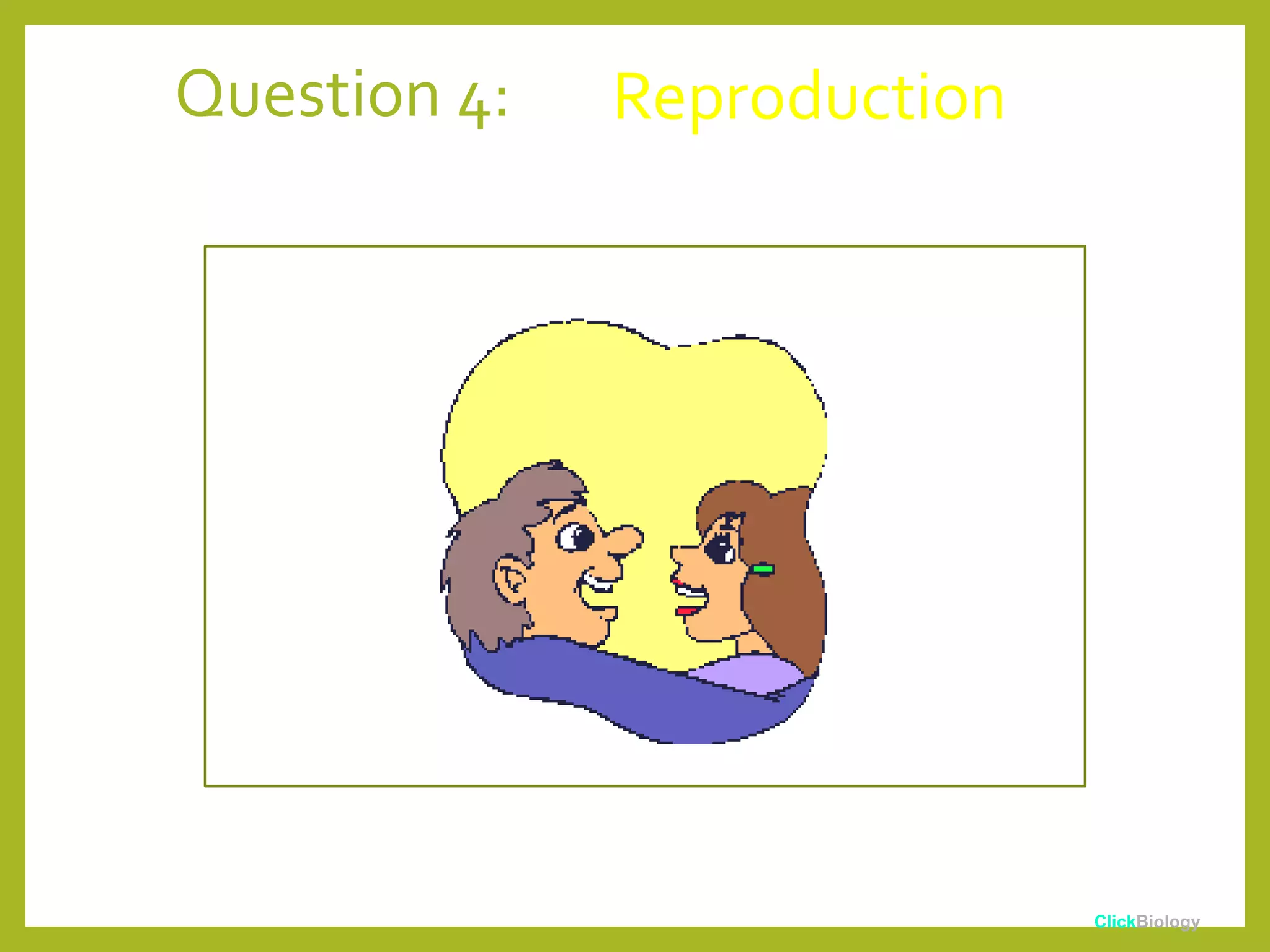 4 Grouping and identifying organisms.pptx