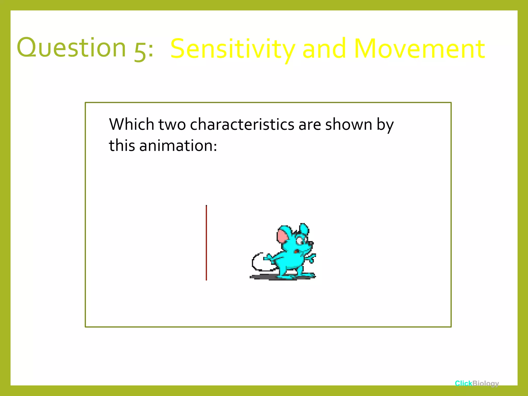 4 Grouping and identifying organisms.pptx