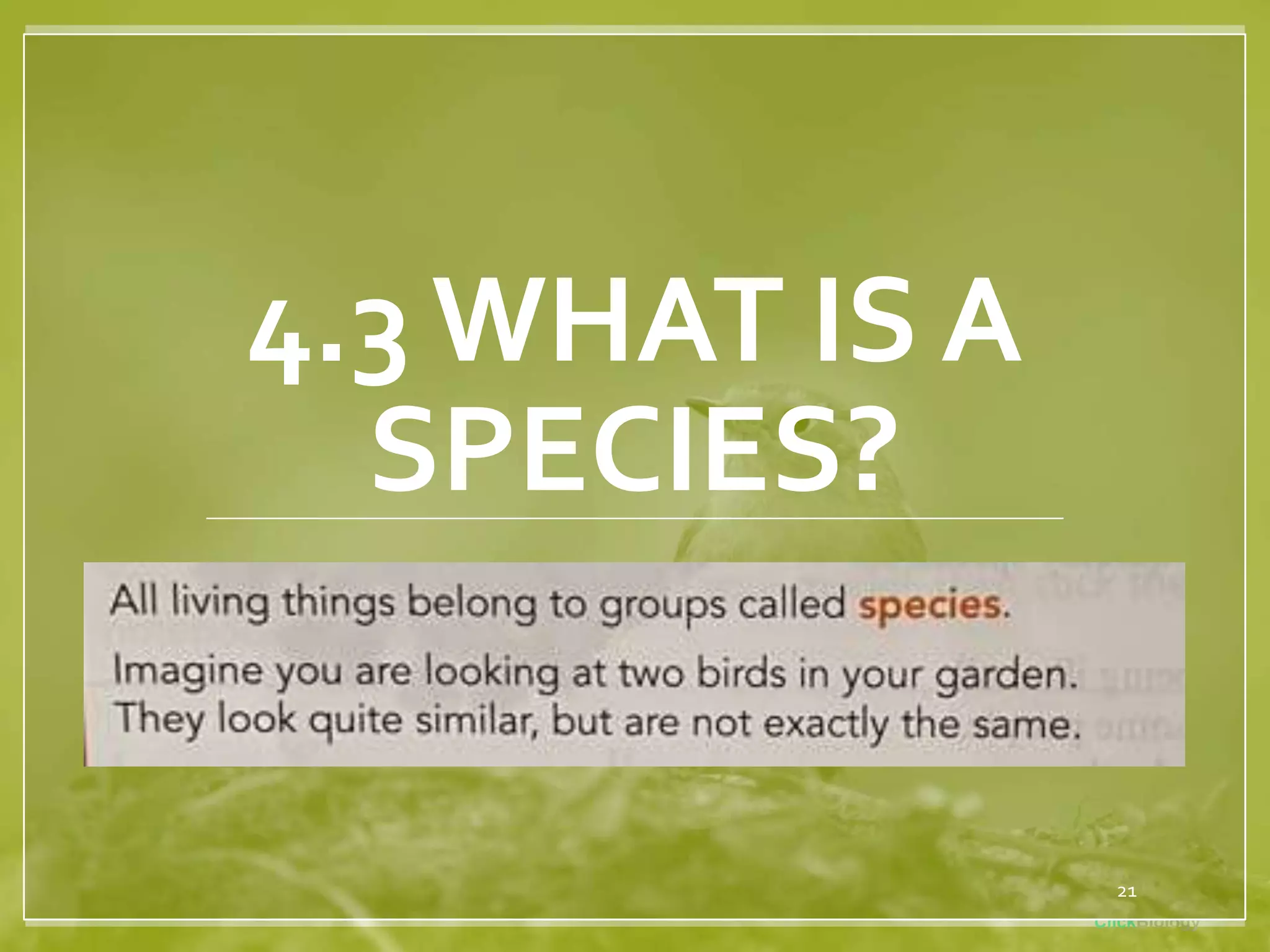 4 Grouping and identifying organisms.pptx
