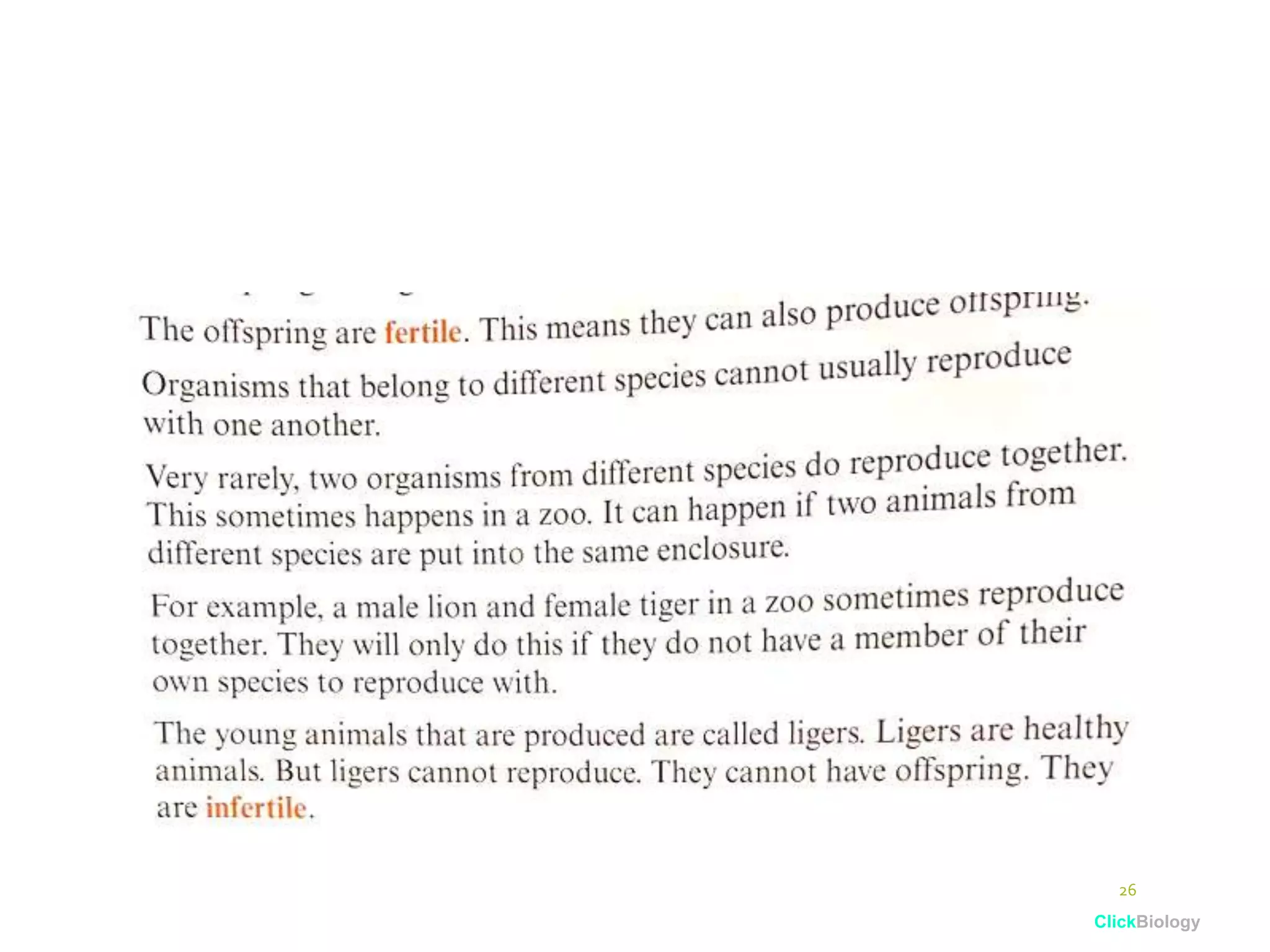 4 Grouping and identifying organisms.pptx