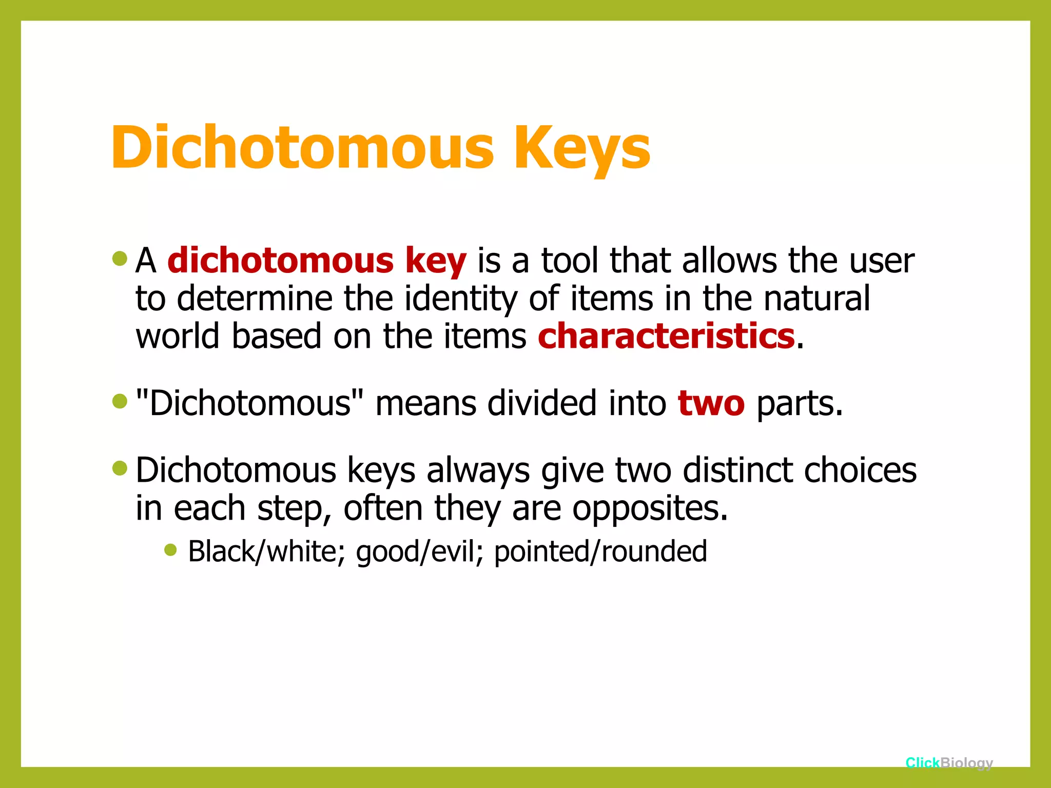 4 Grouping and identifying organisms.pptx