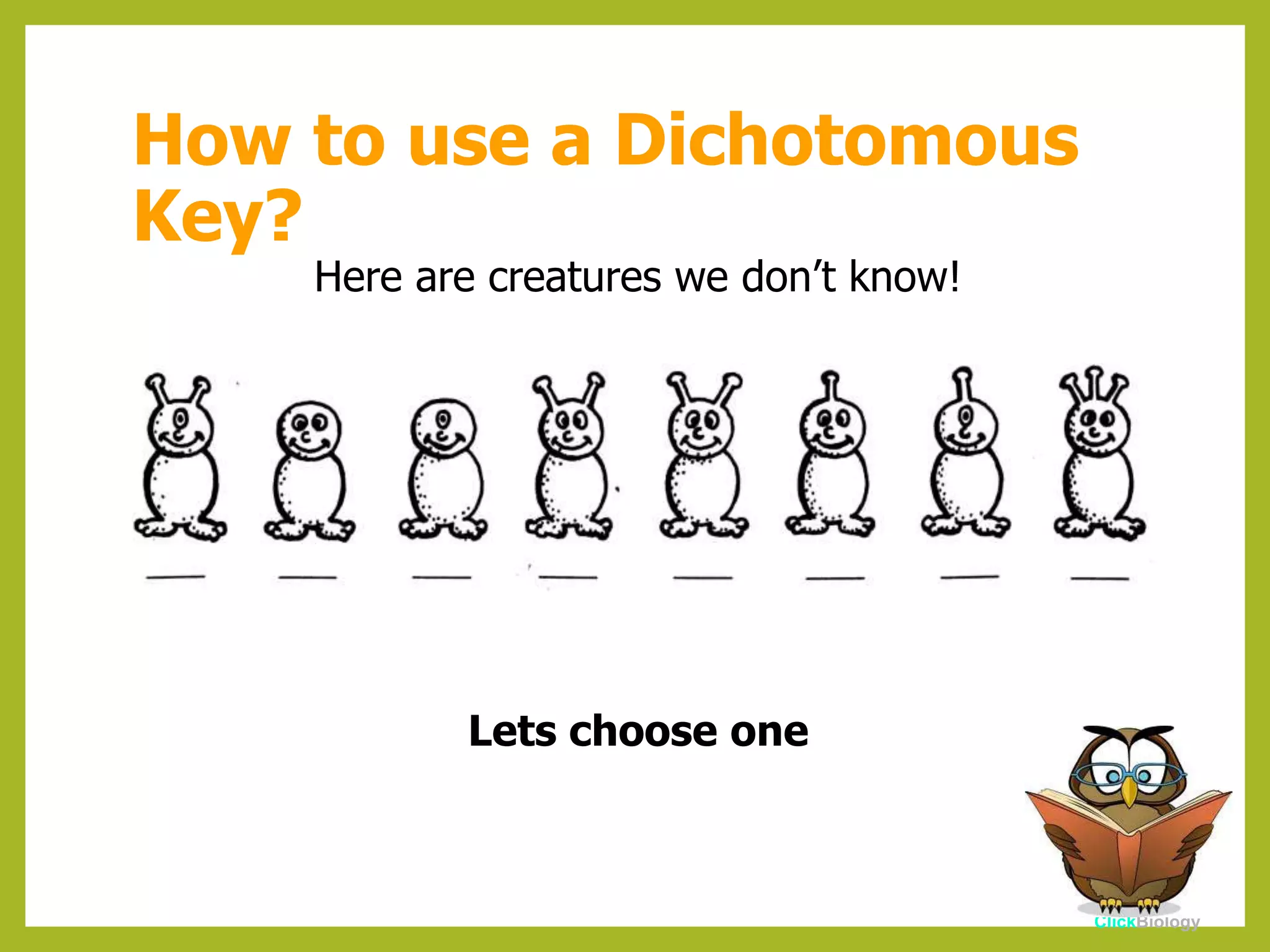 4 Grouping and identifying organisms.pptx