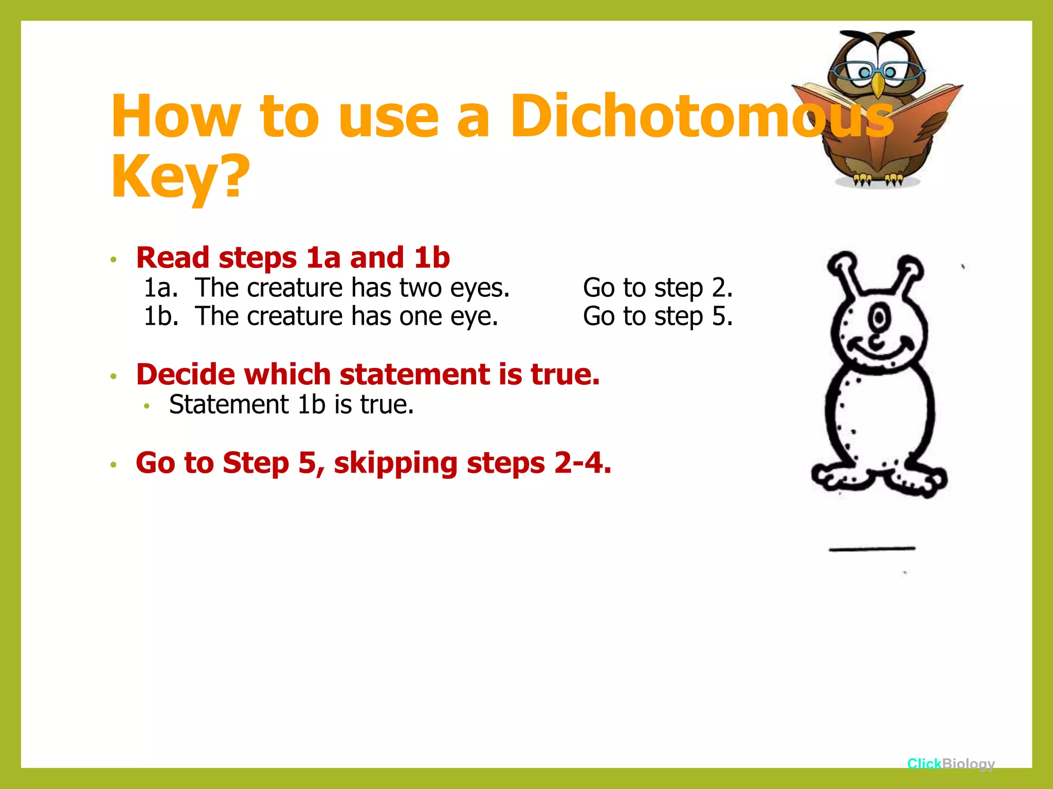 4 Grouping and identifying organisms.pptx