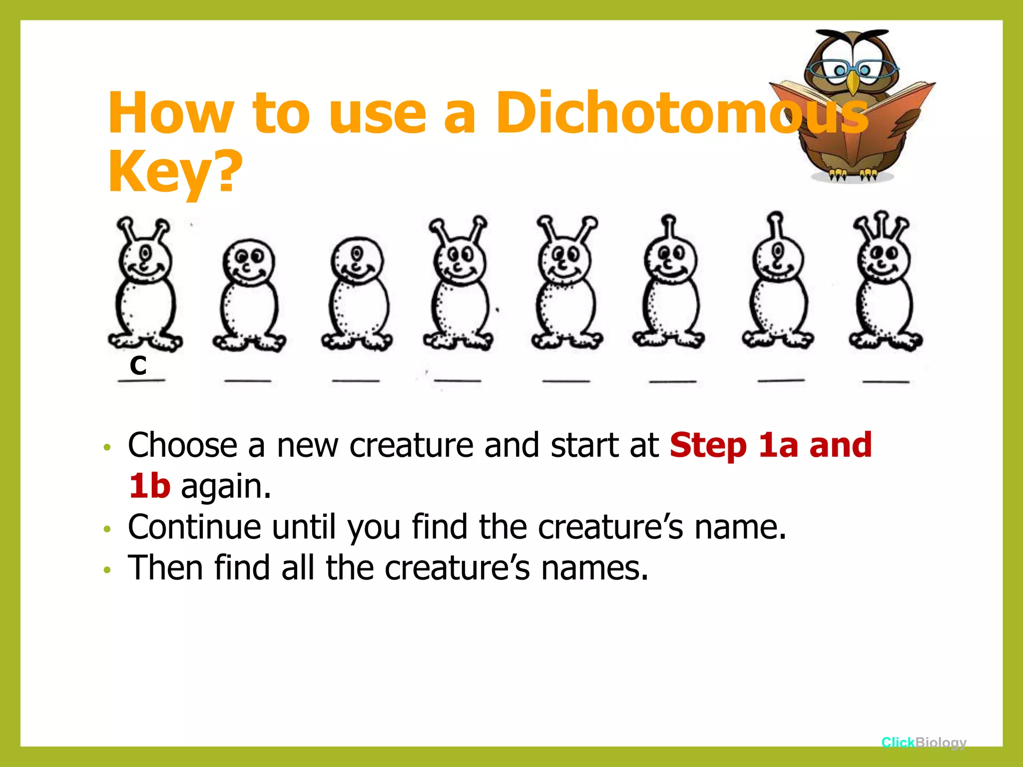 4 Grouping and identifying organisms.pptx