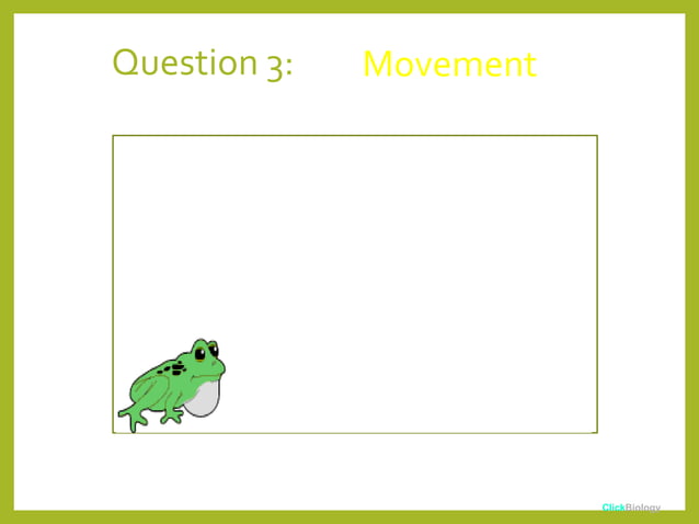 4 Grouping and identifying organisms.pptx