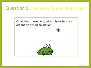 4 Grouping and identifying organisms.pptx