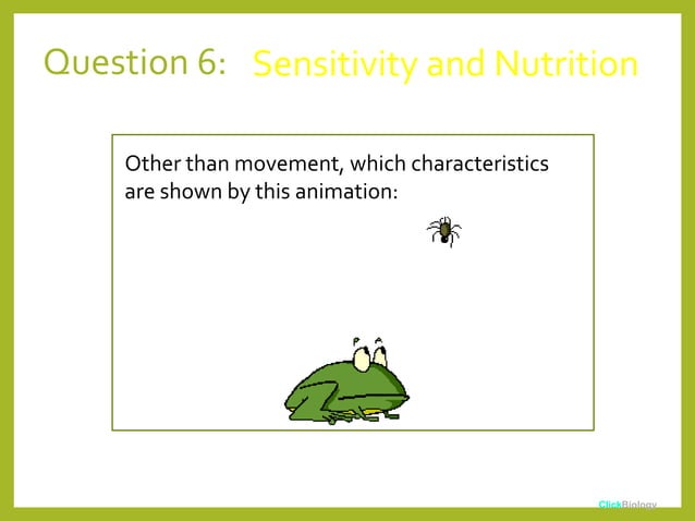 4 Grouping and identifying organisms.pptx