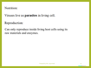 4 Grouping and identifying organisms.pptx