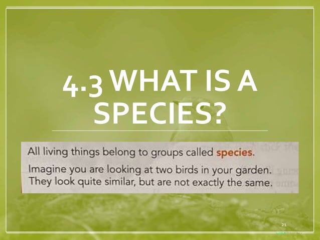 4 Grouping and identifying organisms.pptx