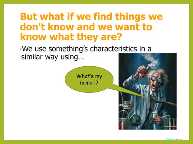 4 Grouping and identifying organisms.pptx