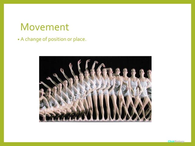 4 Grouping and identifying organisms.pptx