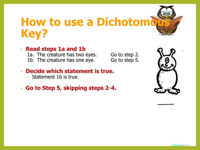 4 Grouping and identifying organisms.pptx