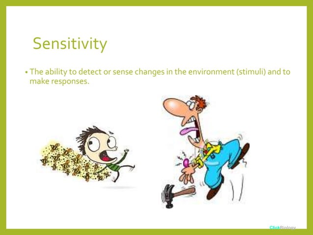 4 Grouping and identifying organisms.pptx