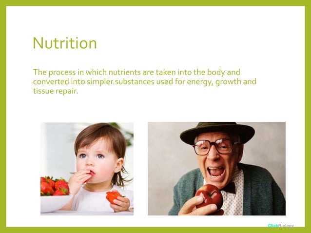 4 Grouping and identifying organisms.pptx