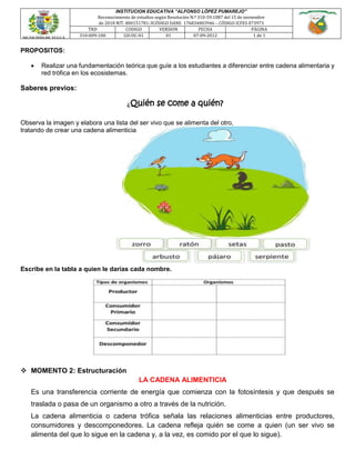ECOSISTEMAS CADENAS TROFICAS Y ALIMENTICIAS | PDF