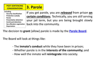 Post Sentencing Considerations | PPTX