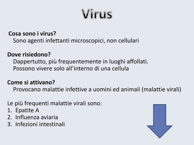 4 haccprischiobiologico | PPT
