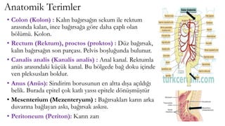 SİNDİRİM SİSTEMİ TERMİNOLOJİSİ | PPT