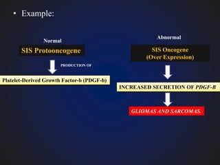 Hallmarks of cancer | PPTX