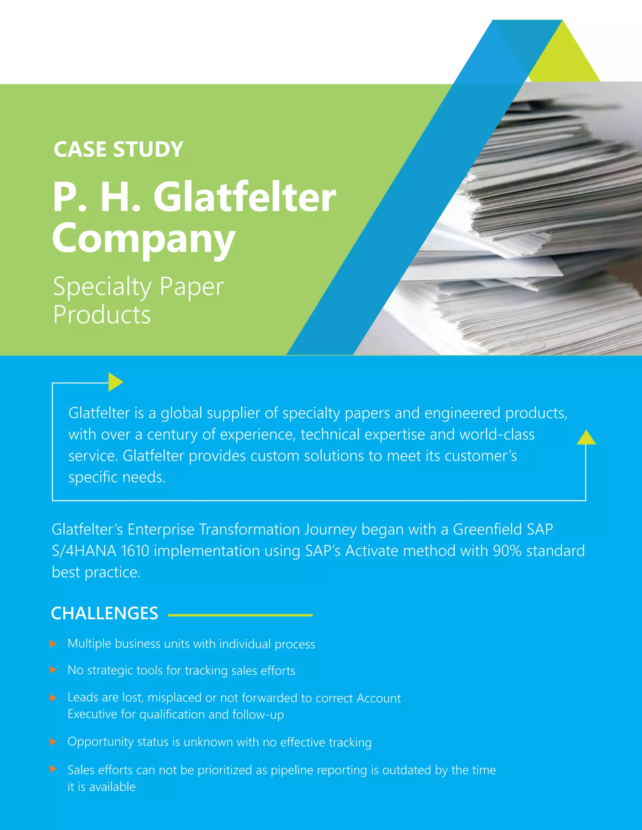 SAP S/4HANA Adoption- Establishing a Digital Core | PDF