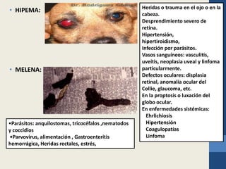 HEMORRAGIA CLASIFICACION, CAUSAS Y TRANSTORNOS DE LA COAGULACION.pptx