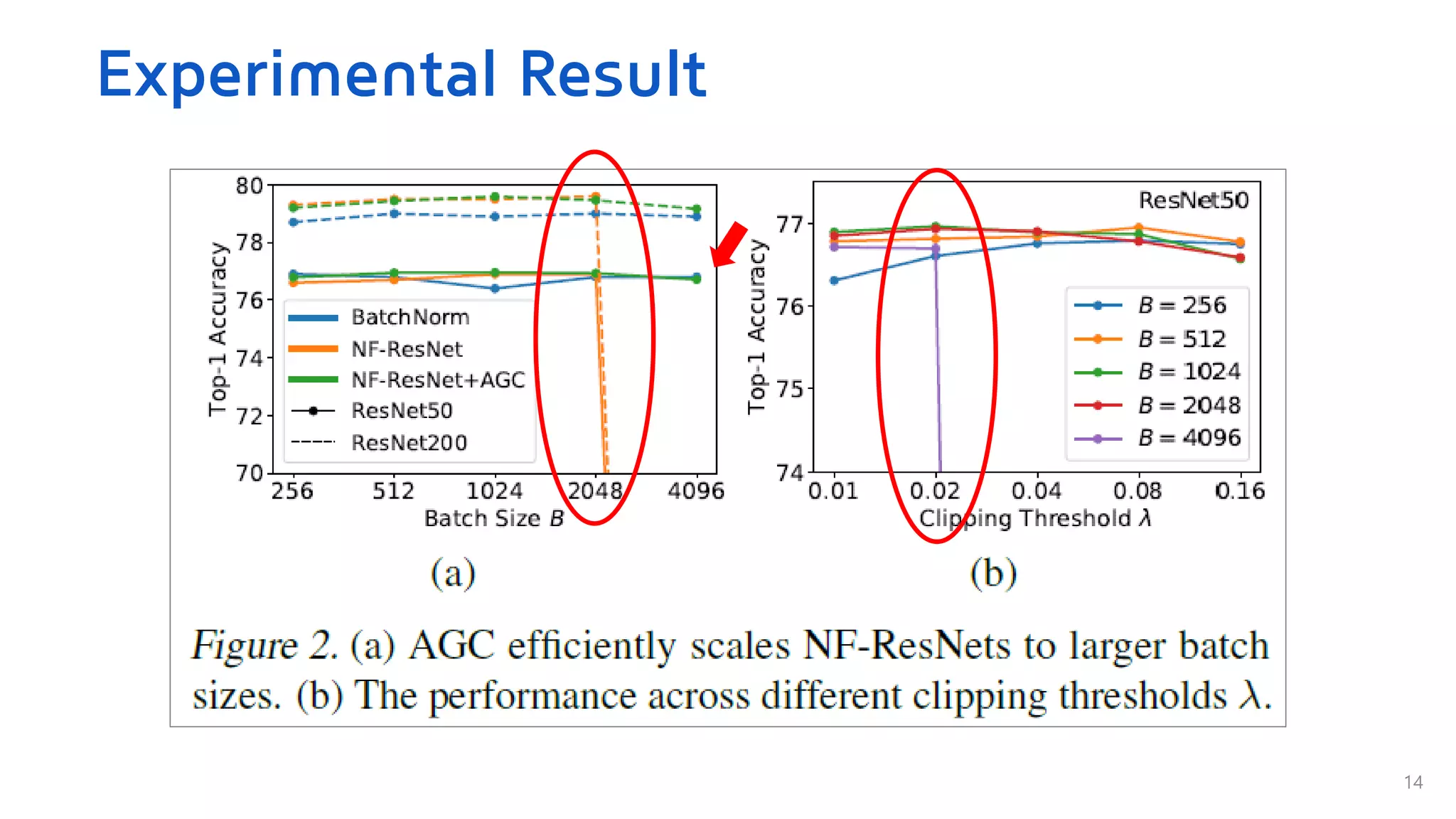 4 High Performance Large Scale Image Recognition Without Normalization