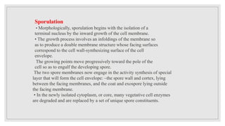 Sporulation & morphogenesis | PPTX