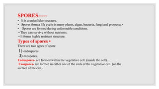 Sporulation & morphogenesis | PPTX