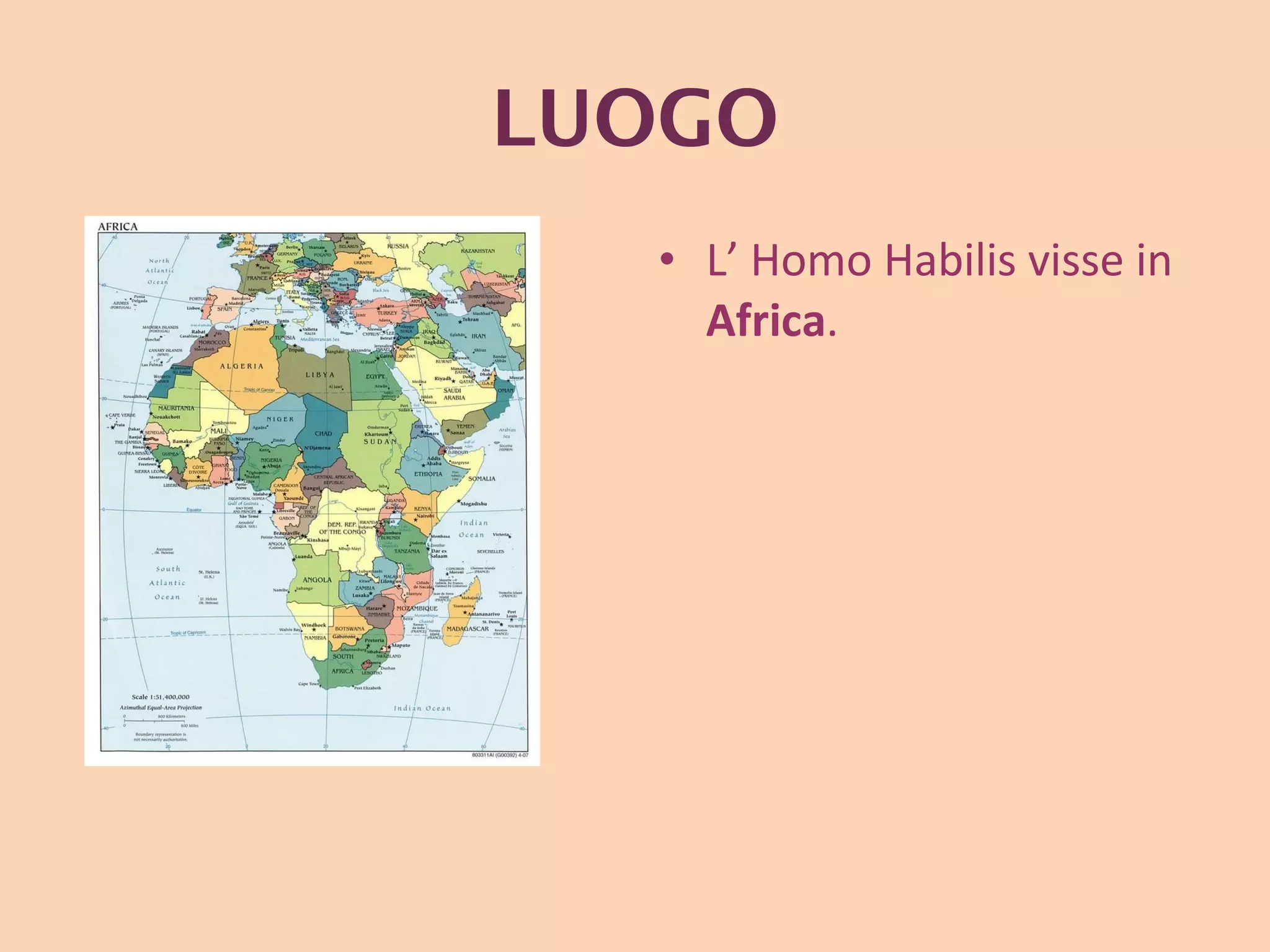 4 Homo Habilis | PPT